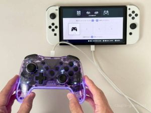 スリコのSwitch用 透明コントローラーの使い心地をレビュー