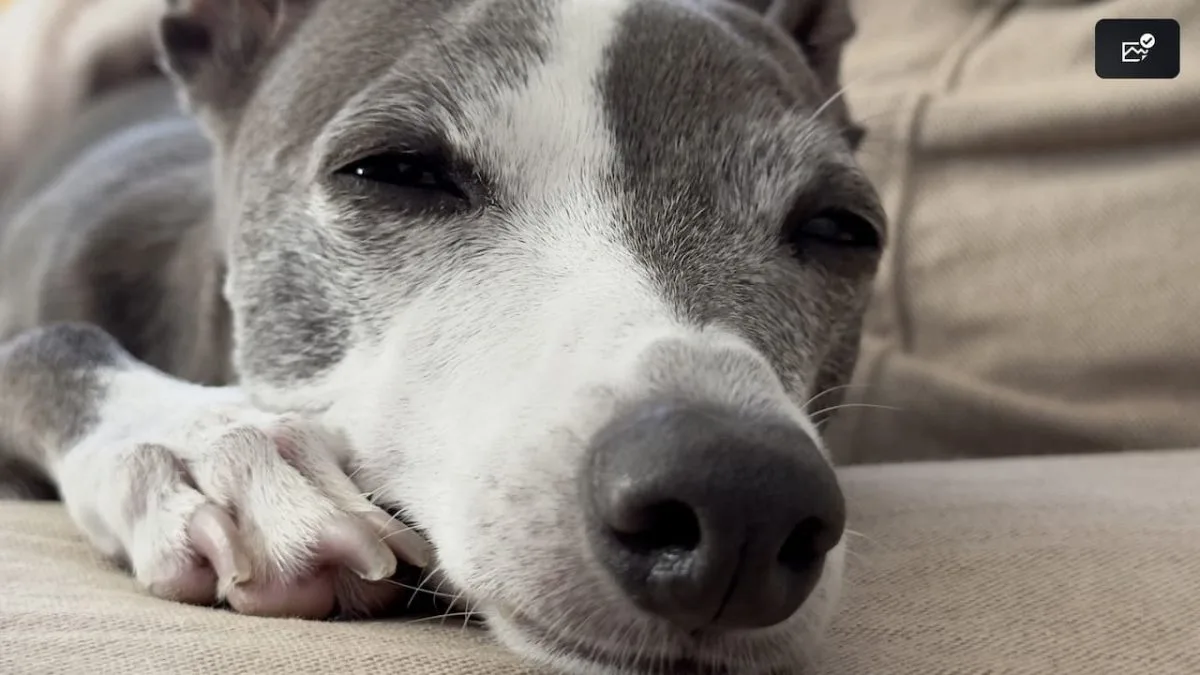 PS5 Welcomeハブのカスタマイズ方法｜好きな背景画像の設定方法も解説